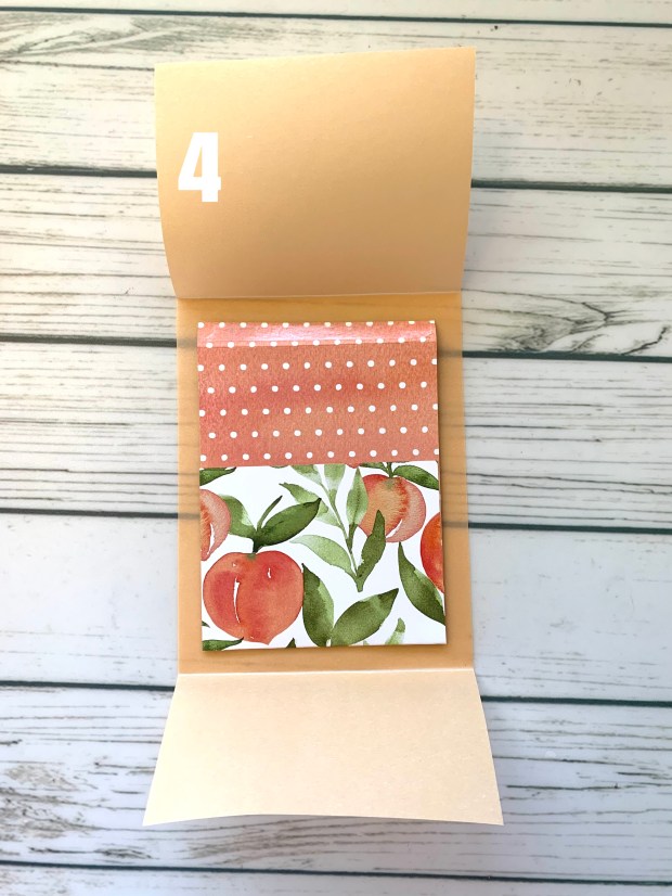New at SU! ~ Papaya, Peaches & Pockets – Creative Juice by Loni
