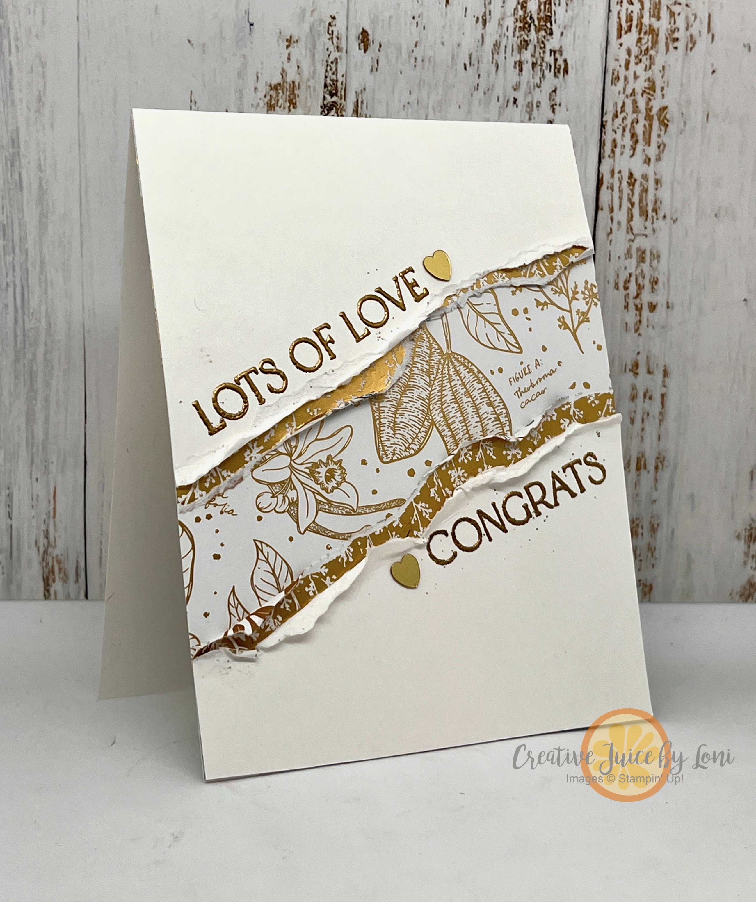 Fault Line Cards- Paper Pumpkin Alternatives – Creative Juice by Loni